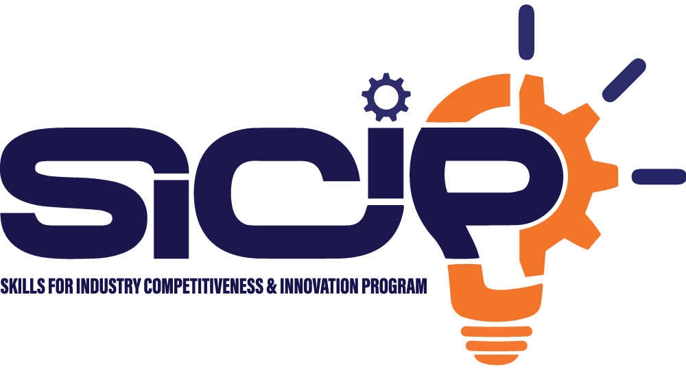 SEIP | Skills for Employment Investment Program